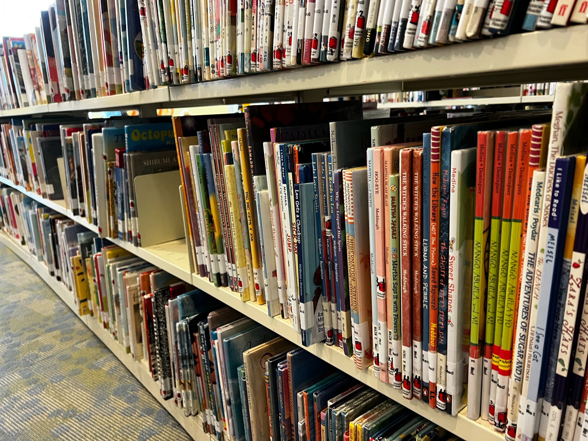 A year later, 'book banning’ law normalizes censorship - Georgia First ...